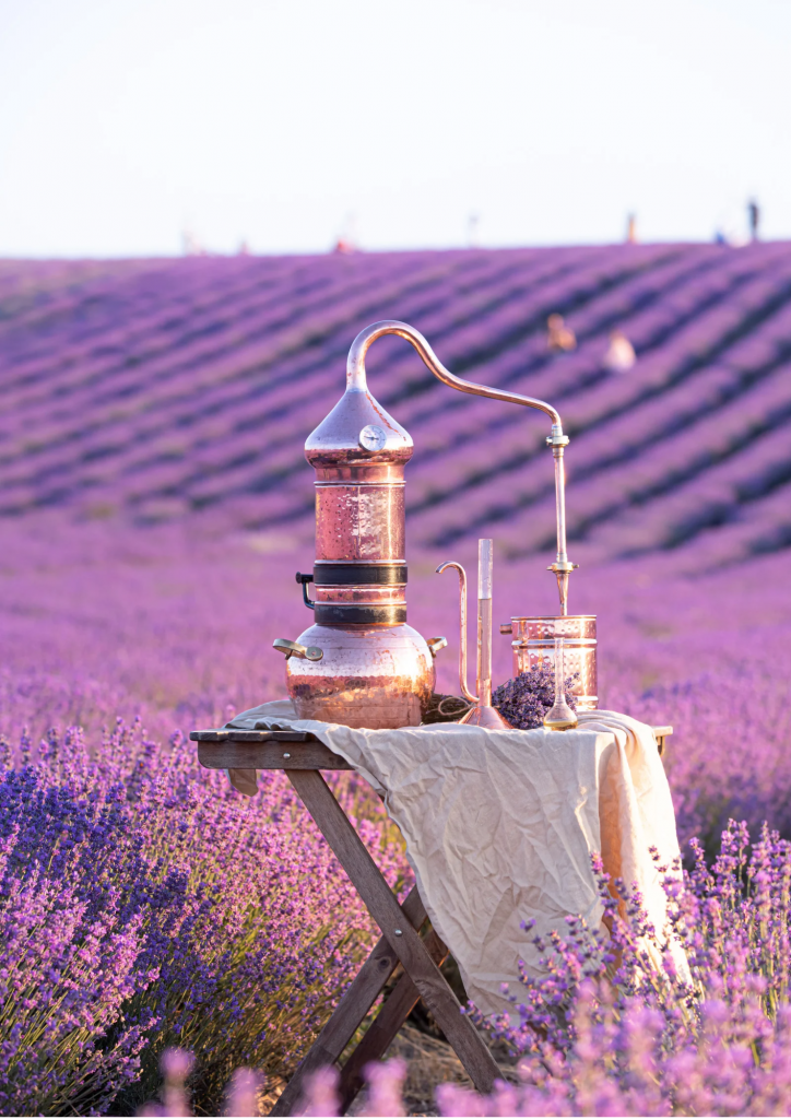 El arte de destilar 2 | Daniel Tittarelli – Asociación de Cosmética ...